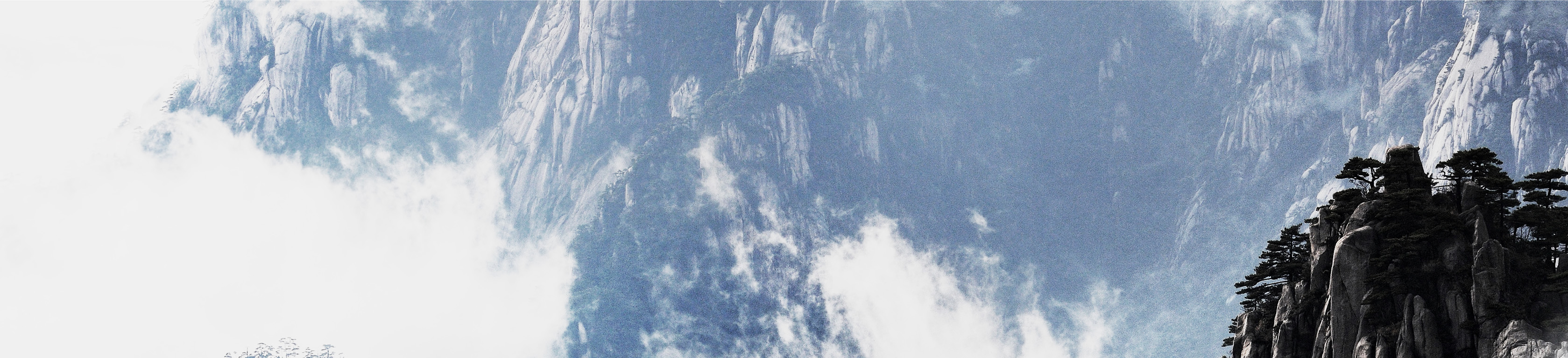 战略咨询 - Vermilion Partners Limited